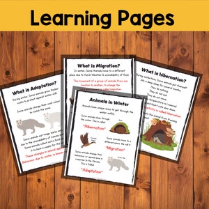 Animals in Winter Printable Pack - Learn About Hibernation, Adaptation ...