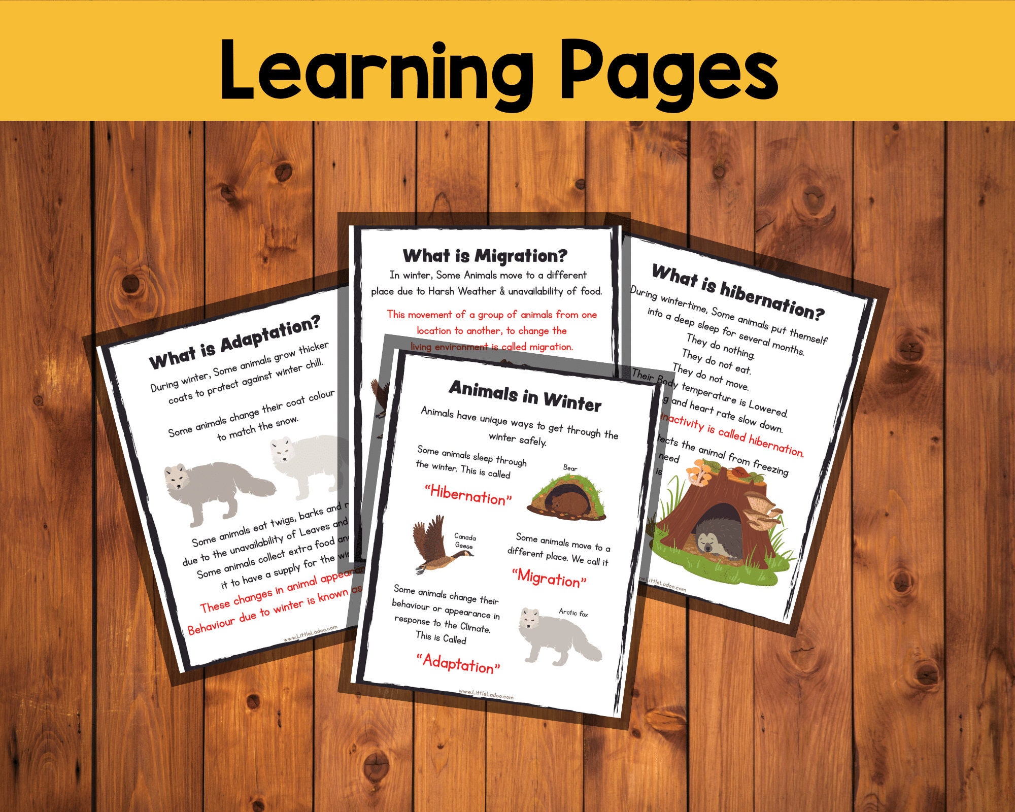 Animals in Winter Printable Pack - Learn About Hibernation, Adaptation ...