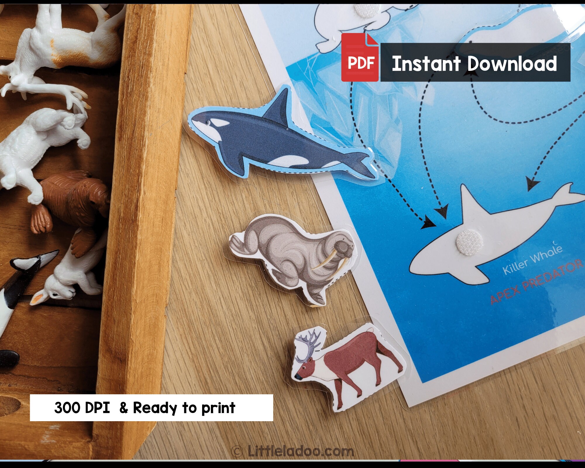 Arctic Food Web Printable - Interactive Learning Pack -- Busy Book Page ...