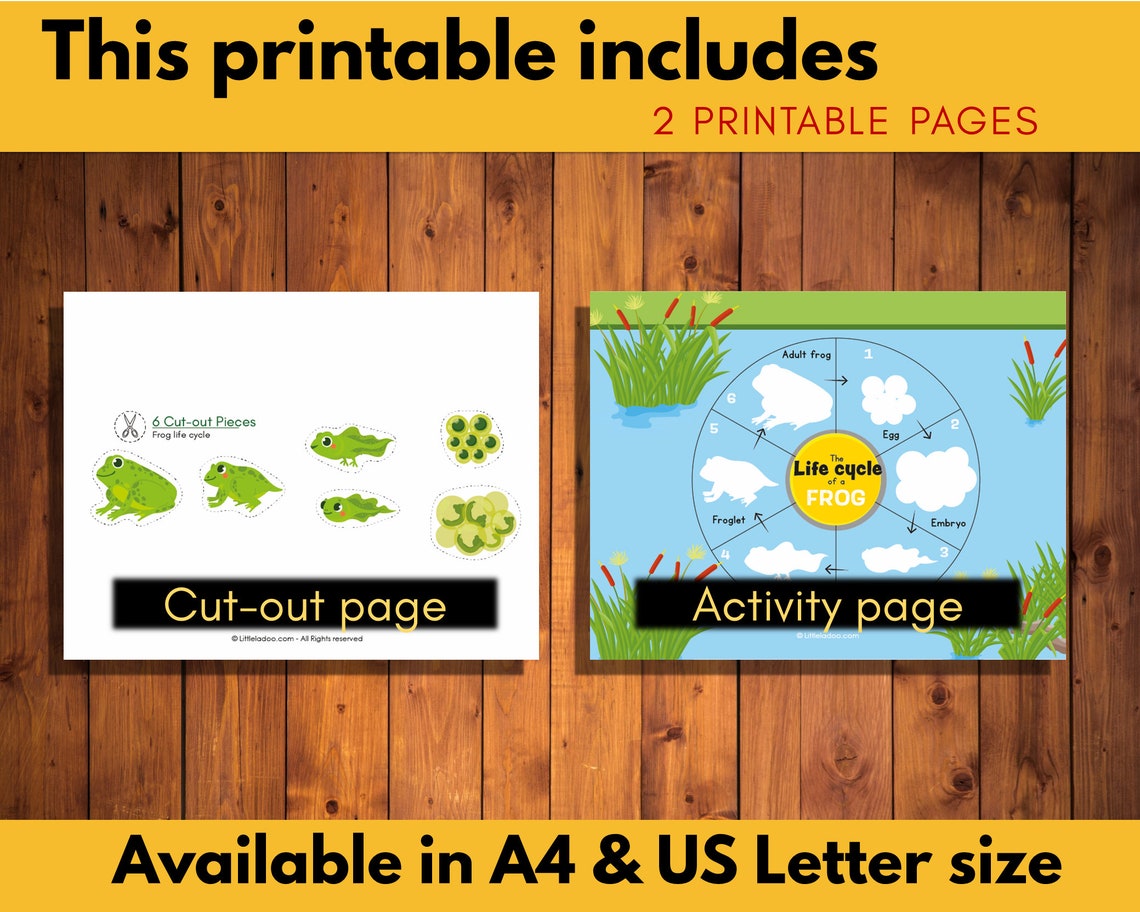 Life Cycle of a Frog : Busy Book Page Printable - Etsy Canada