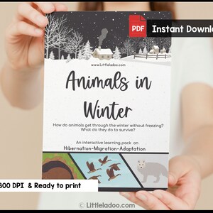 Animals in Winter Printable Pack - Learn About Hibernation, Adaptation ...