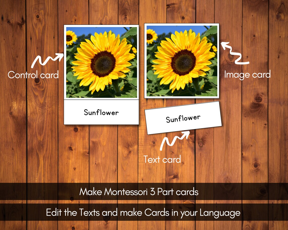 Flower Flashcards Printable / Montessori 3 Part Cards - Editable ...