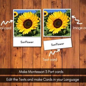 Flower Flashcards Printable / Montessori 3 Part Cards - Editable ...