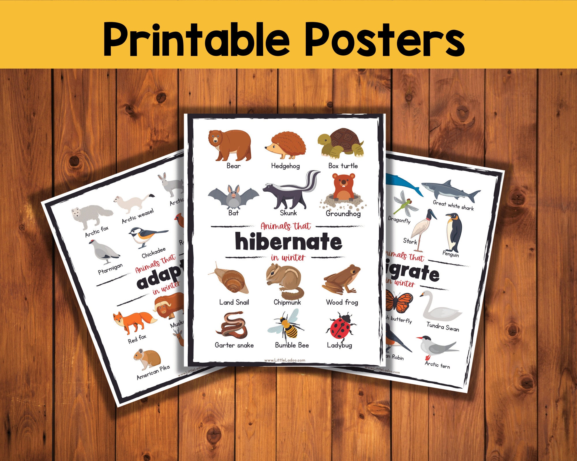 Animals in Winter Printable Pack - Learn About Hibernation, Adaptation ...