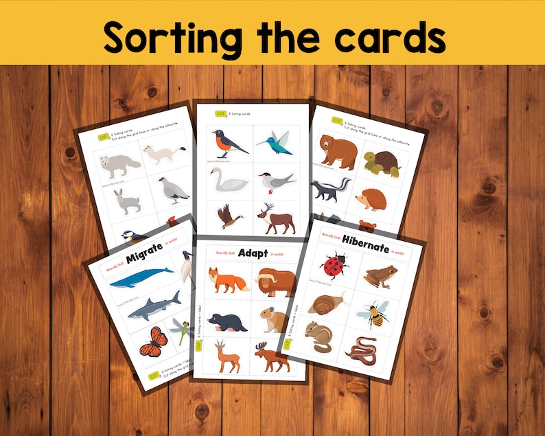Animals in Winter Printable Pack - Learn About Hibernation, Adaptation ...