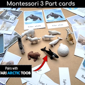 Arctic Animals Printable, Montessori 3 Part Cards , Safari Arctic Toob ...