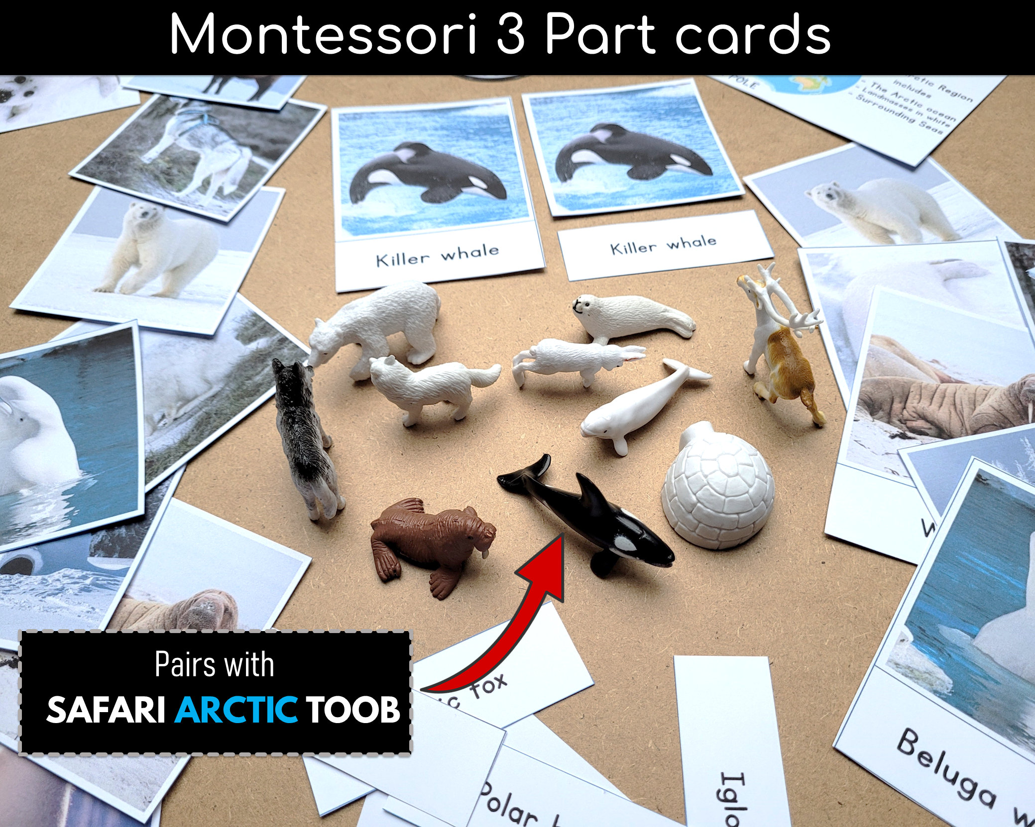 Arctic Animals Printable, Montessori 3 Part Cards , Safari Arctic Toob ...