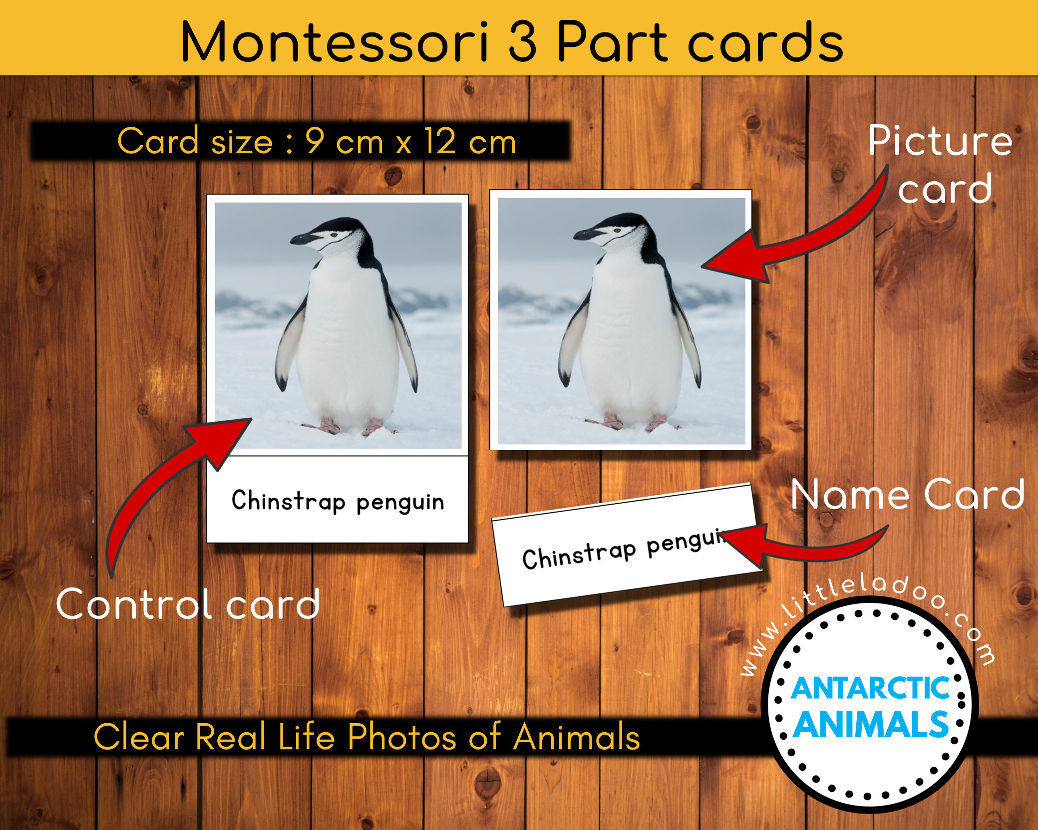 Antarctic Animals Printable, Montessori 3 Part Cards , Safari Arctic ...