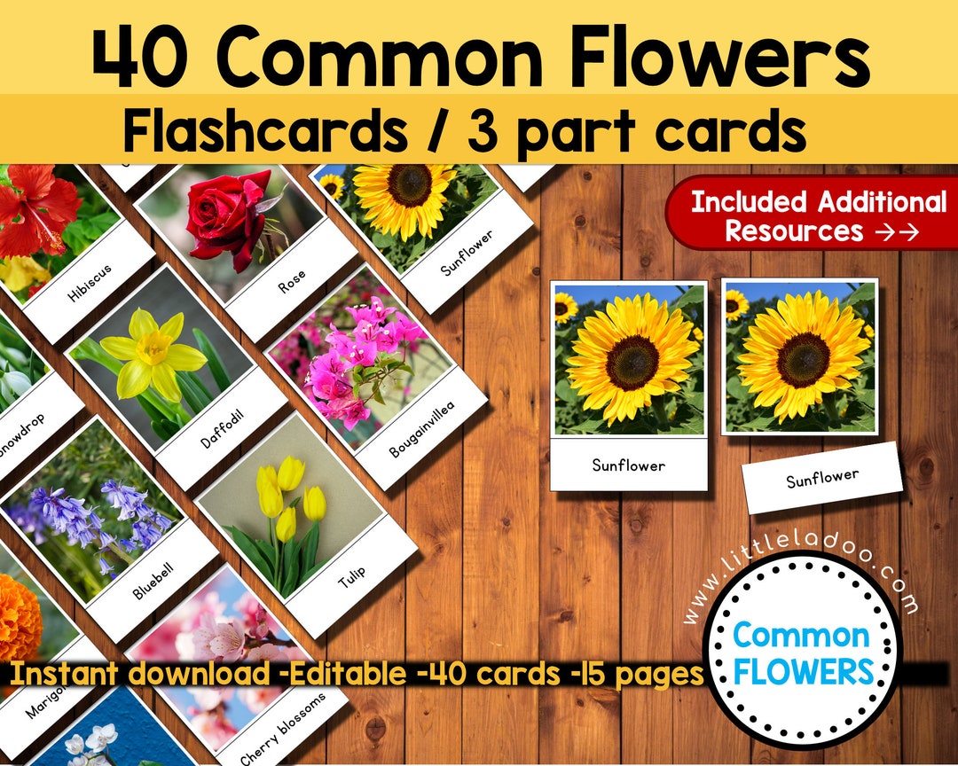 Flower Flashcards Printable / Montessori 3 Part Cards Editable Flower ...