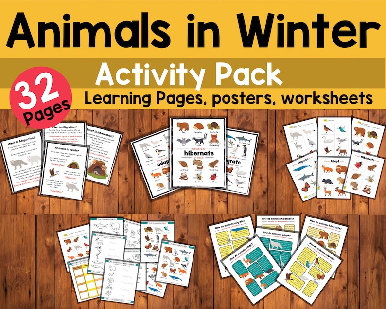 Animals in Winter Printable Pack - Learn About Hibernation, Adaptation ...