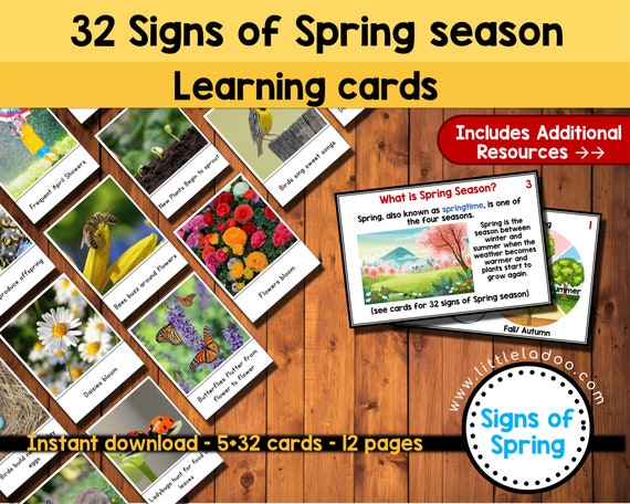 Signs of Spring Flashcards Spring Flashcard Printable | Etsy