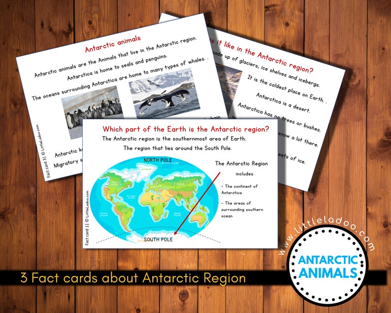 Antarctic Animals Printable, Montessori 3 Part Cards , Safari Arctic ...