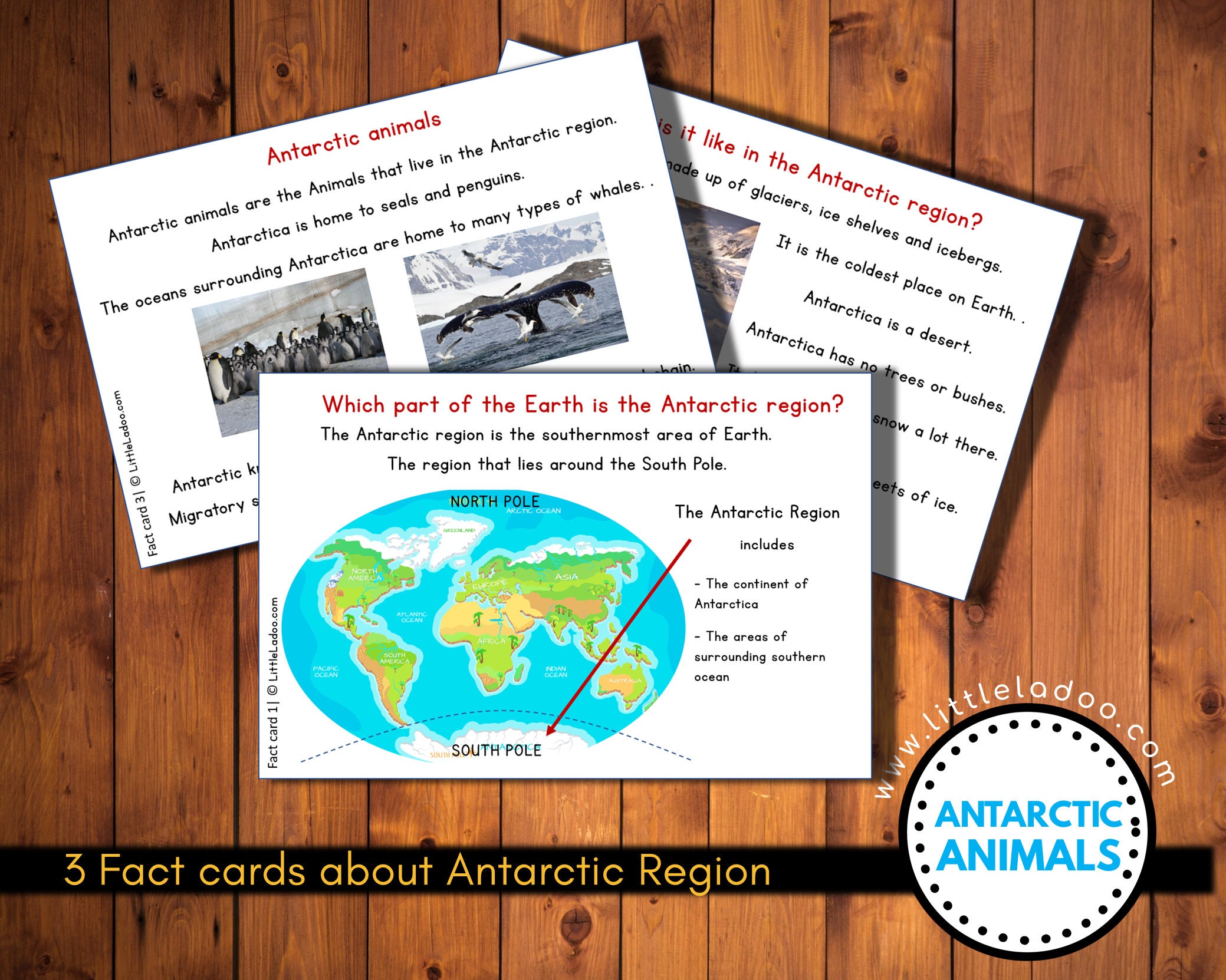 Antarctic Animals Printable, Montessori 3 Part Cards , Safari Arctic ...