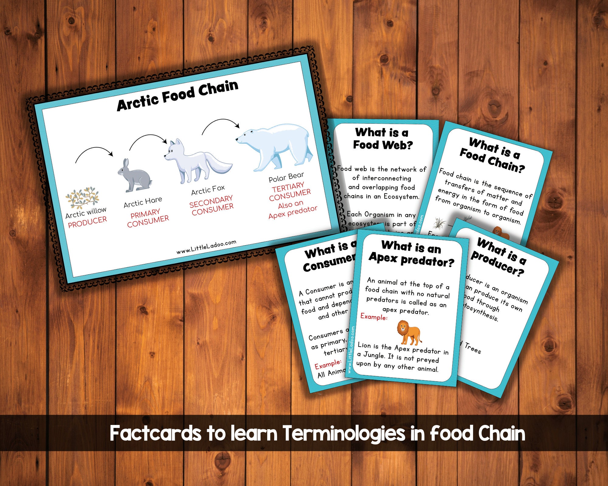 Arctic Food Web Printable - Interactive Learning Pack -- Busy Book Page ...