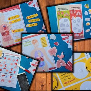 Human Internal Organs Busy Book , Anatomy Learning Binder, What's ...
