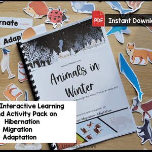 Animals in Winter Printable Pack - Learn About Hibernation, Adaptation ...