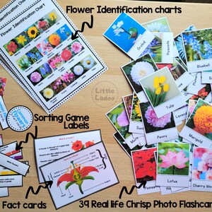 Flower Flashcards Printable / Montessori 3 Part Cards - Editable ...