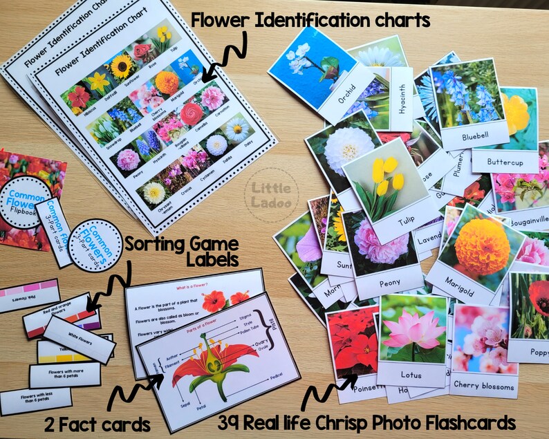 Flower Flashcards Printable / Montessori 3 Part Cards Editable Flower ...