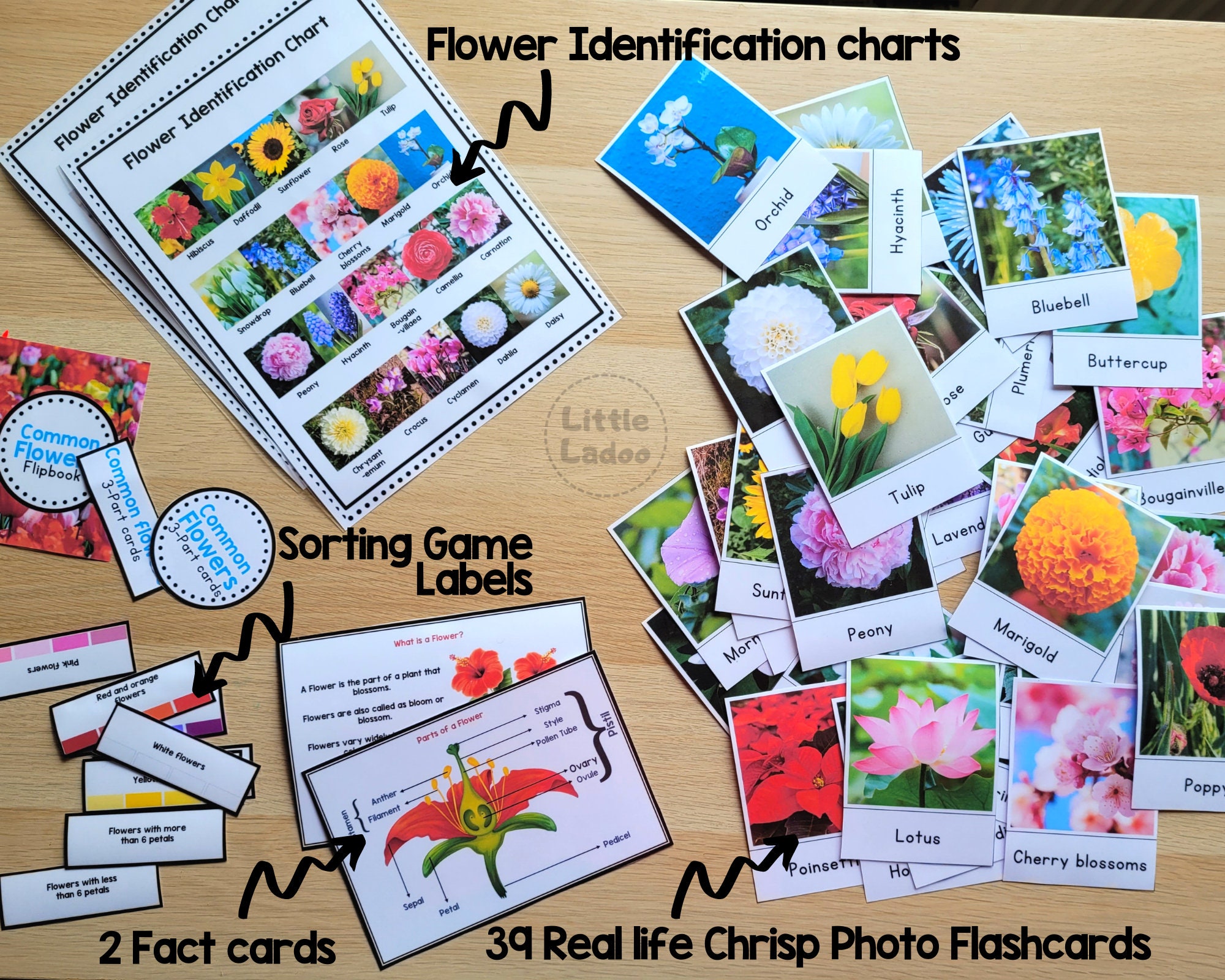 Flower Flashcards Printable / Montessori 3 Part Cards - Editable ...