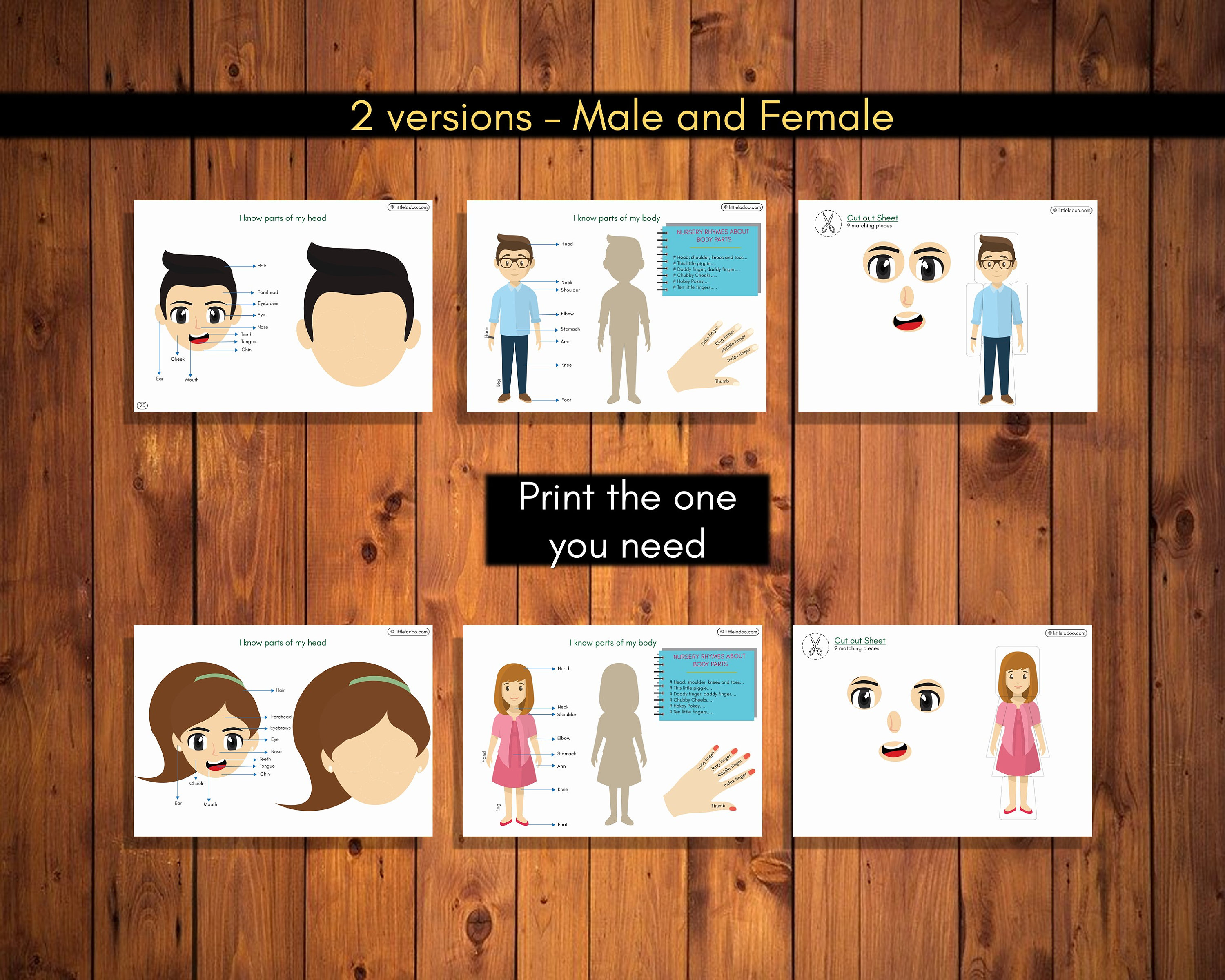 Body Parts Printable, Busy Book Page, Quiet Book Activity Page Learning ...