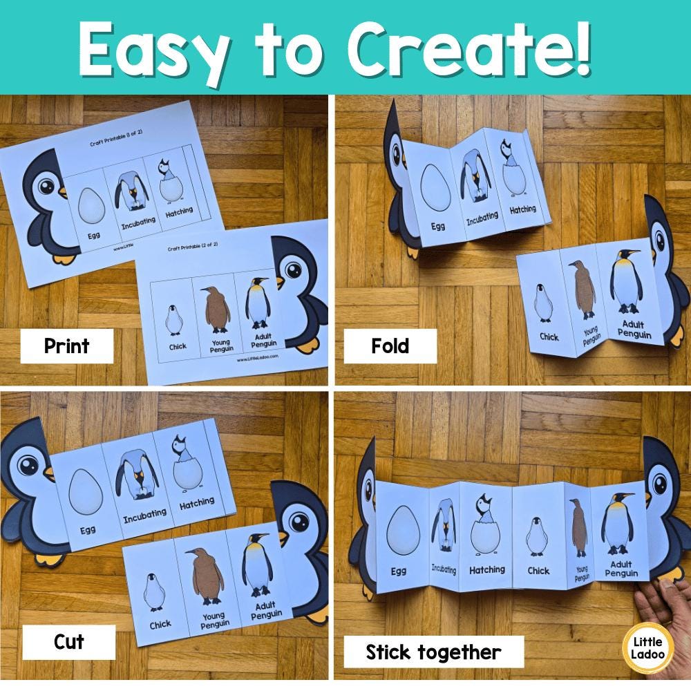 Penguin Life Cycle Craft Printable - Etsy