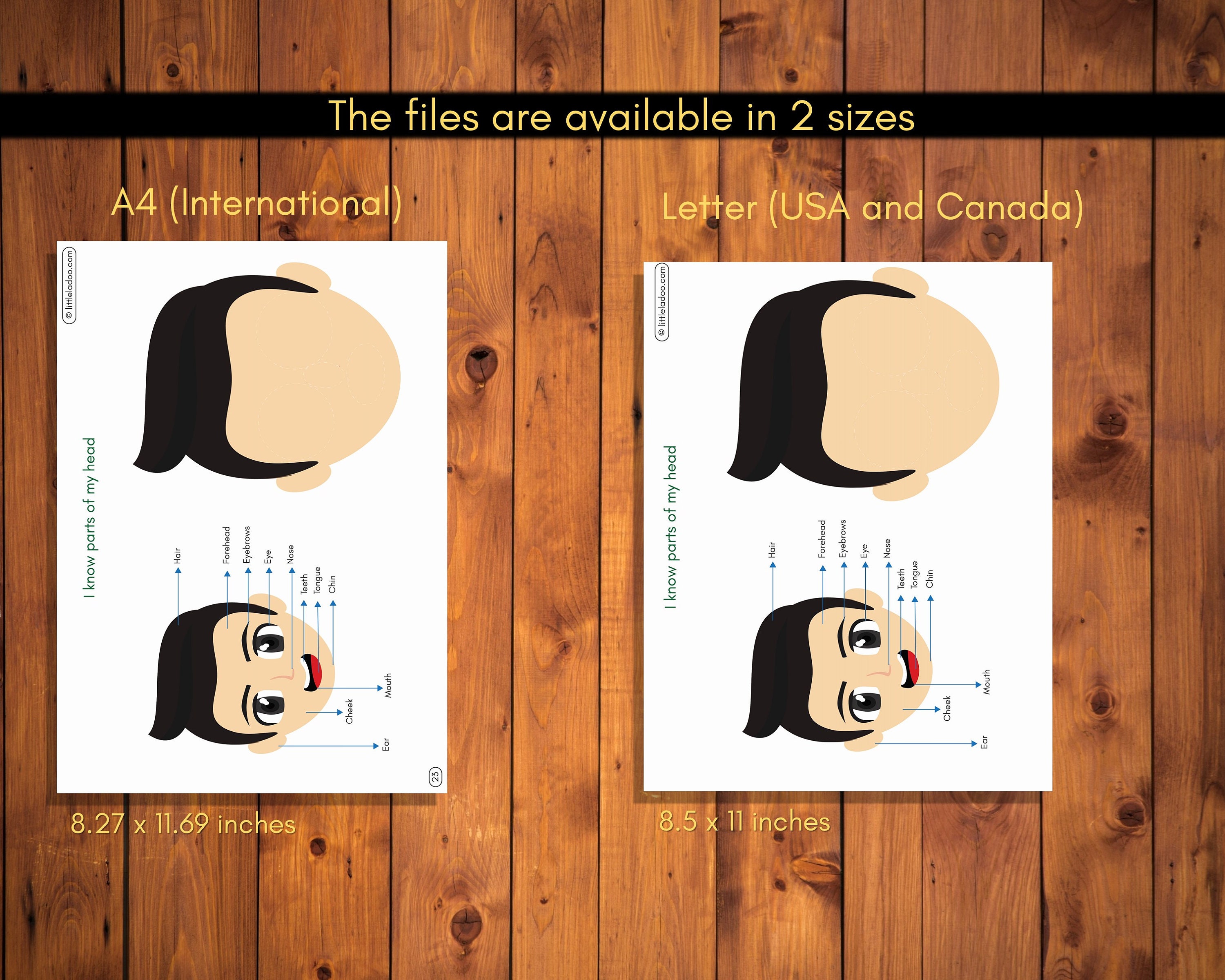 Body Parts Printable, Busy Book Page, Quiet Book Activity Page Learning ...