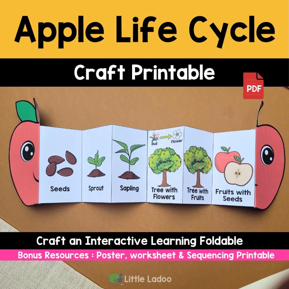 Apple Life Cycle Craft Printable: Foldable Activity (digital Download ...