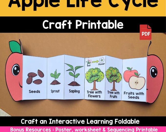 Apple Life Cycle Kids Craft - Etsy Canada