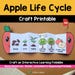 Apple Life Cycle Craft Printable: Foldable Activity (digital Download ...