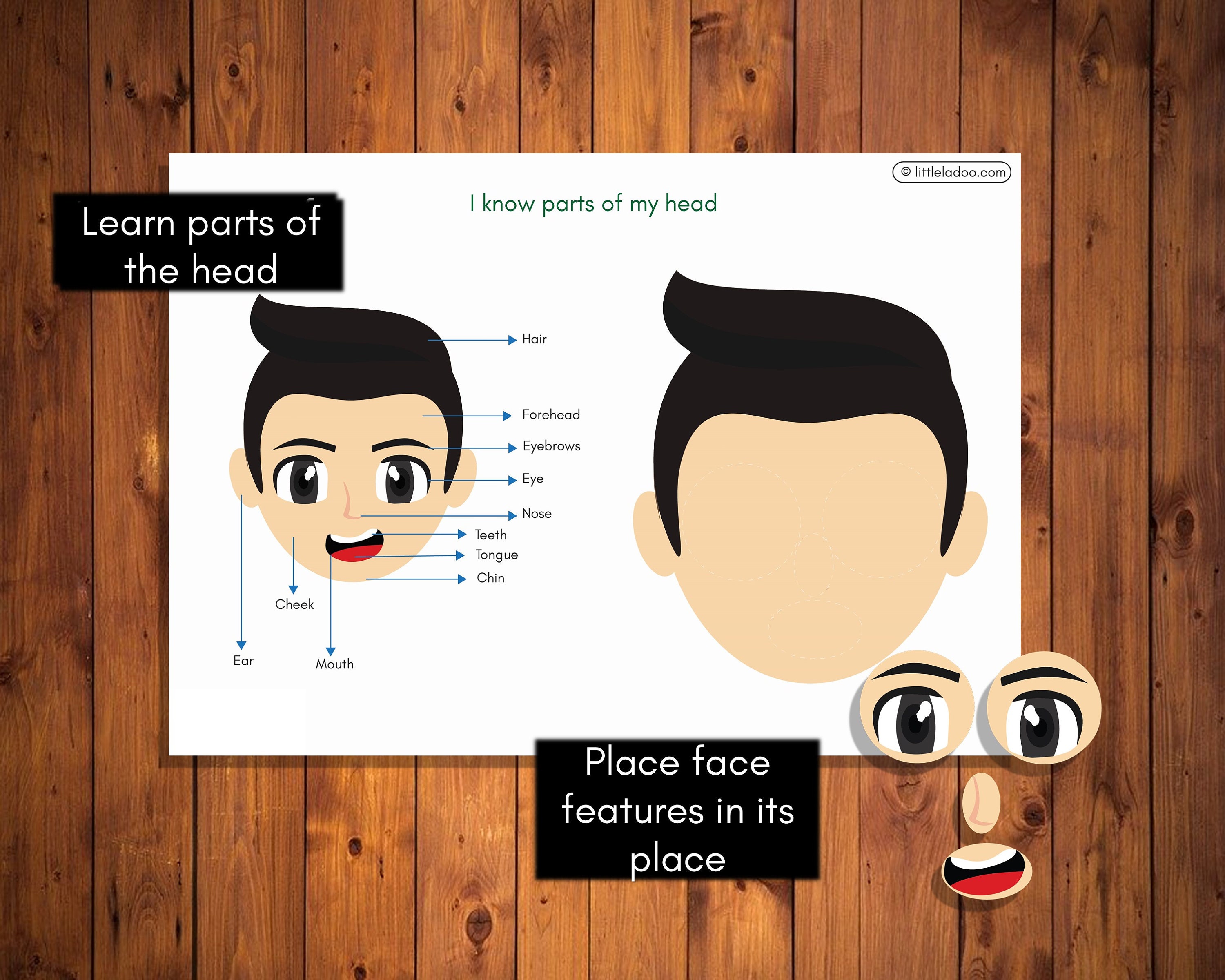 Body Parts Printable, Busy Book Page, Quiet Book Activity Page ...