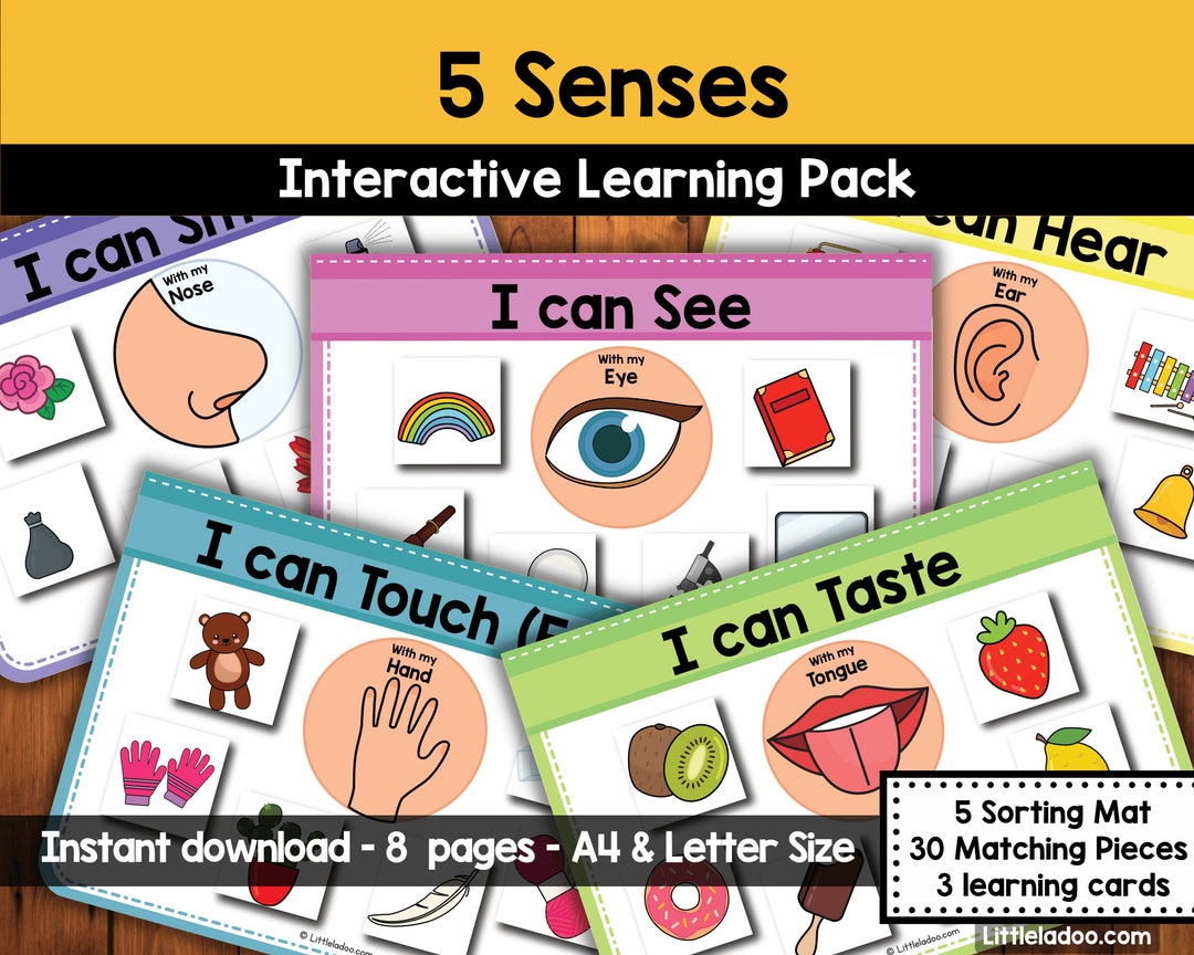5 Senses Sorting Activity Printable, Toddler Busy Book, Preschool ...