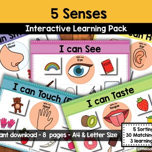 5 Senses Sorting Activity Printable, Toddler Busy Book, Preschool ...