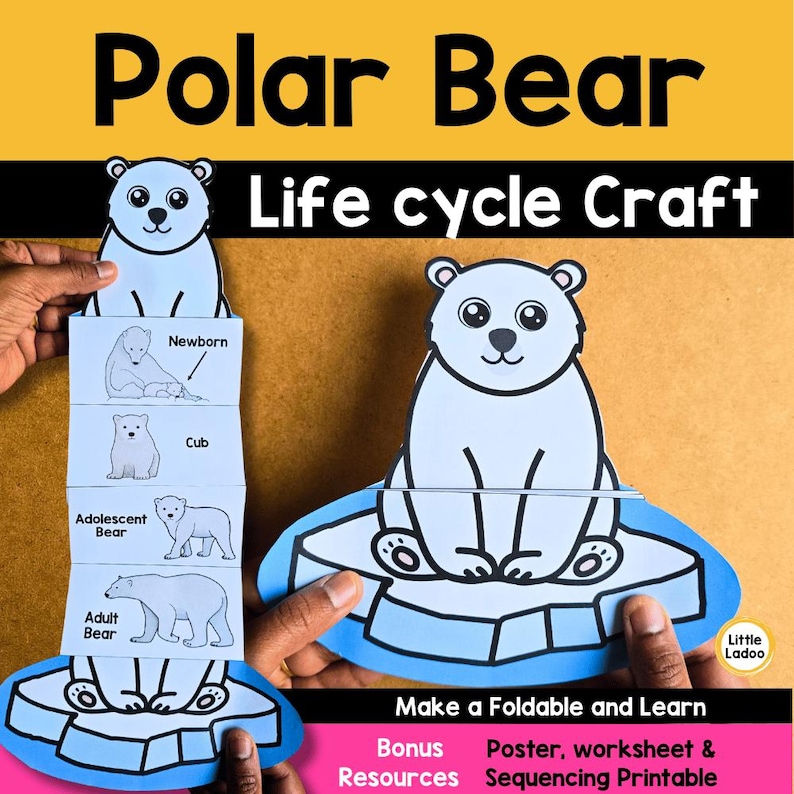 Polar Bear Life Cycle Craft Printable - Etsy