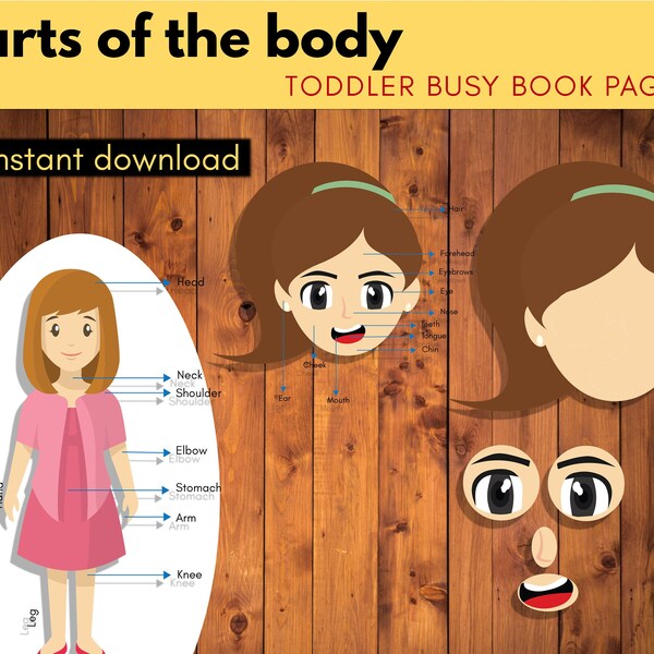 File Folder Games - Etsy