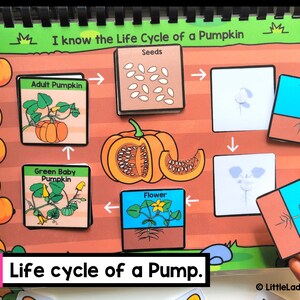 Fall Busy Book Printable, Learning Binder, Fall Activities Learning ...