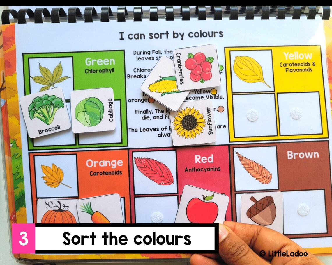 Fall Busy Book Printable, Learning Binder, Fall Activities Learning ...