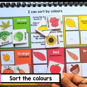 Fall Busy Book Printable, Learning Binder, Fall Activities Learning ...