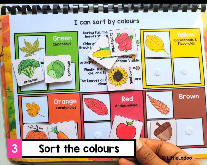 Fall Busy Book Printable, Learning Binder, Fall Activities Learning ...