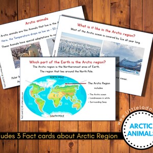 Arctic Animals Printable, Montessori 3 Part Cards , Safari Arctic Toob ...
