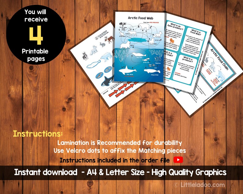 Arctic Food Web Printable - Interactive Learning Pack -- Busy Book Page ...