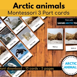 Arctic Animals Printable, Montessori 3 Part Cards , Safari Arctic Toob ...