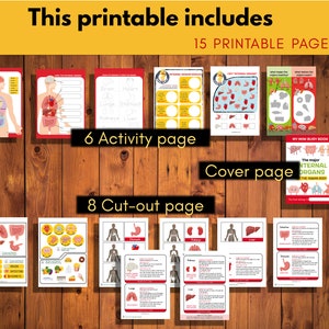 Human Internal Organs Busy Book , Anatomy Learning Binder, What's ...