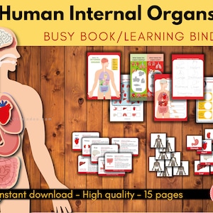 Human Internal Organs Busy Book , Anatomy Learning Binder, What's ...