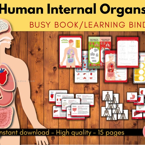 Human Internal Organs Busy Book Anatomy Learning Binder - Etsy