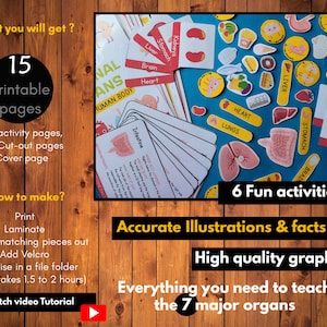 Human Internal Organs Busy Book , Anatomy Learning Binder, What's ...