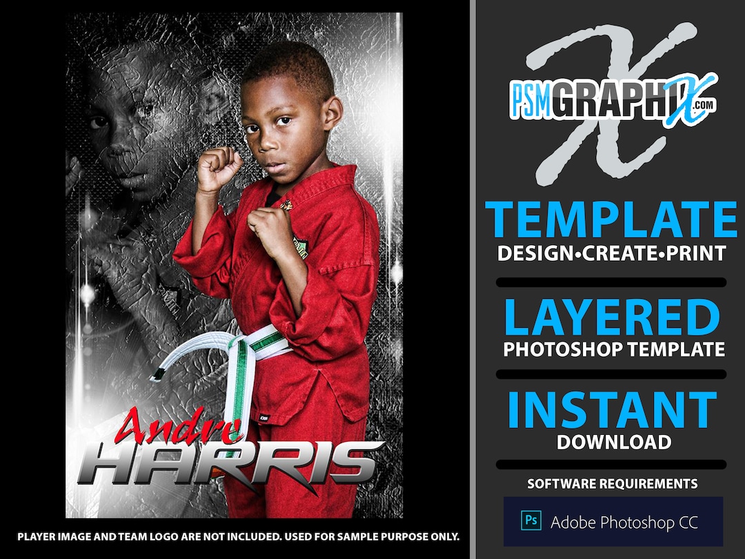 Stone Cold - Martial Arts Series - Poster/banner V - Etsy