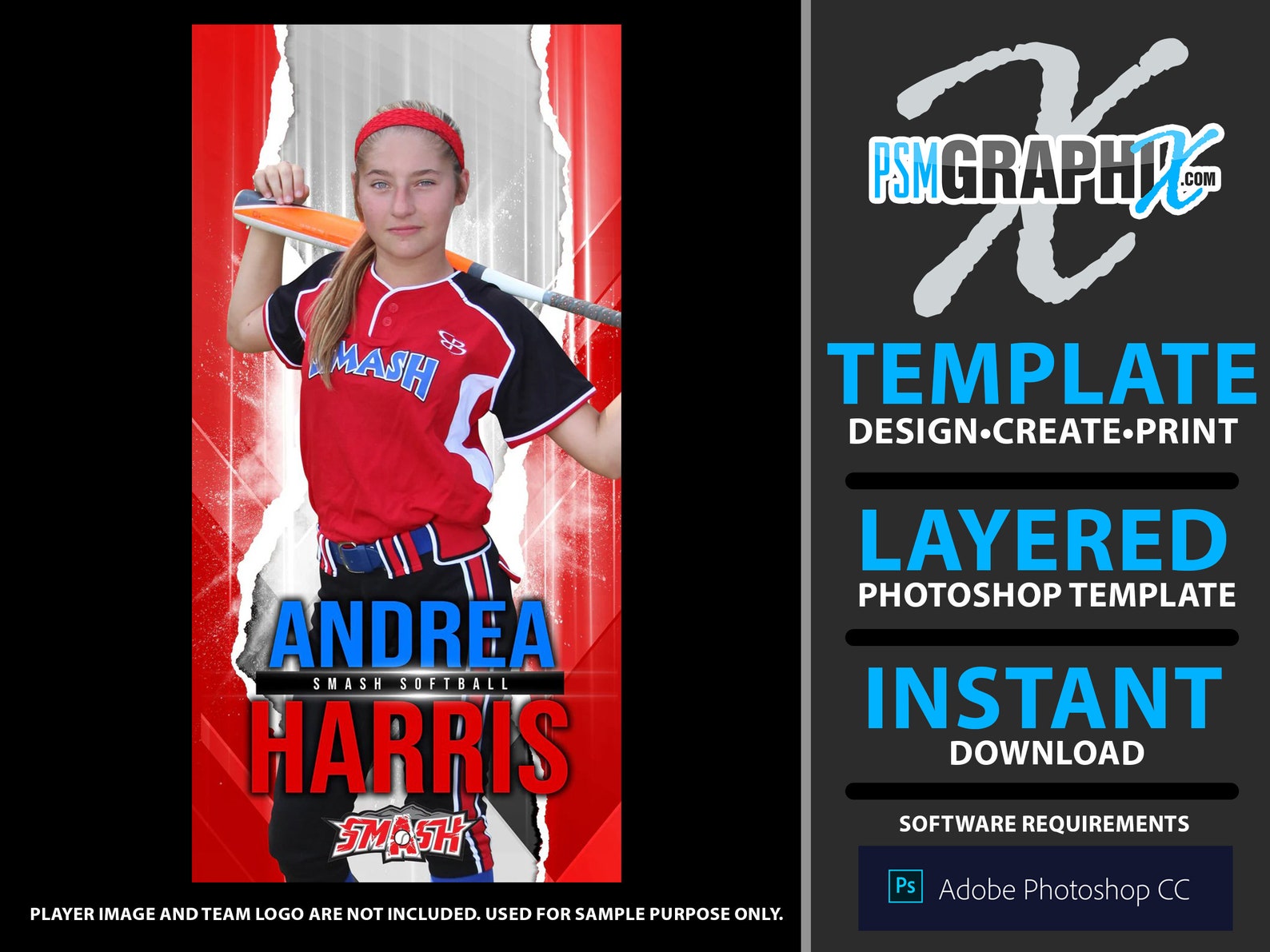 RIPPED 1:2 Ratio INDIVIDUAL Poster and Banner Photoshop Template - Etsy