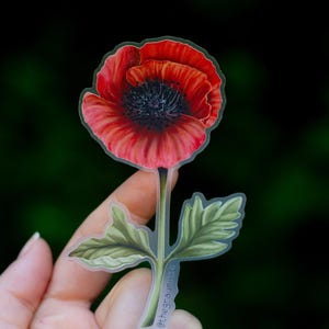 Poppy (red) Floral Clear Matte Sticker, Flower Accessory, Nature Lover ...