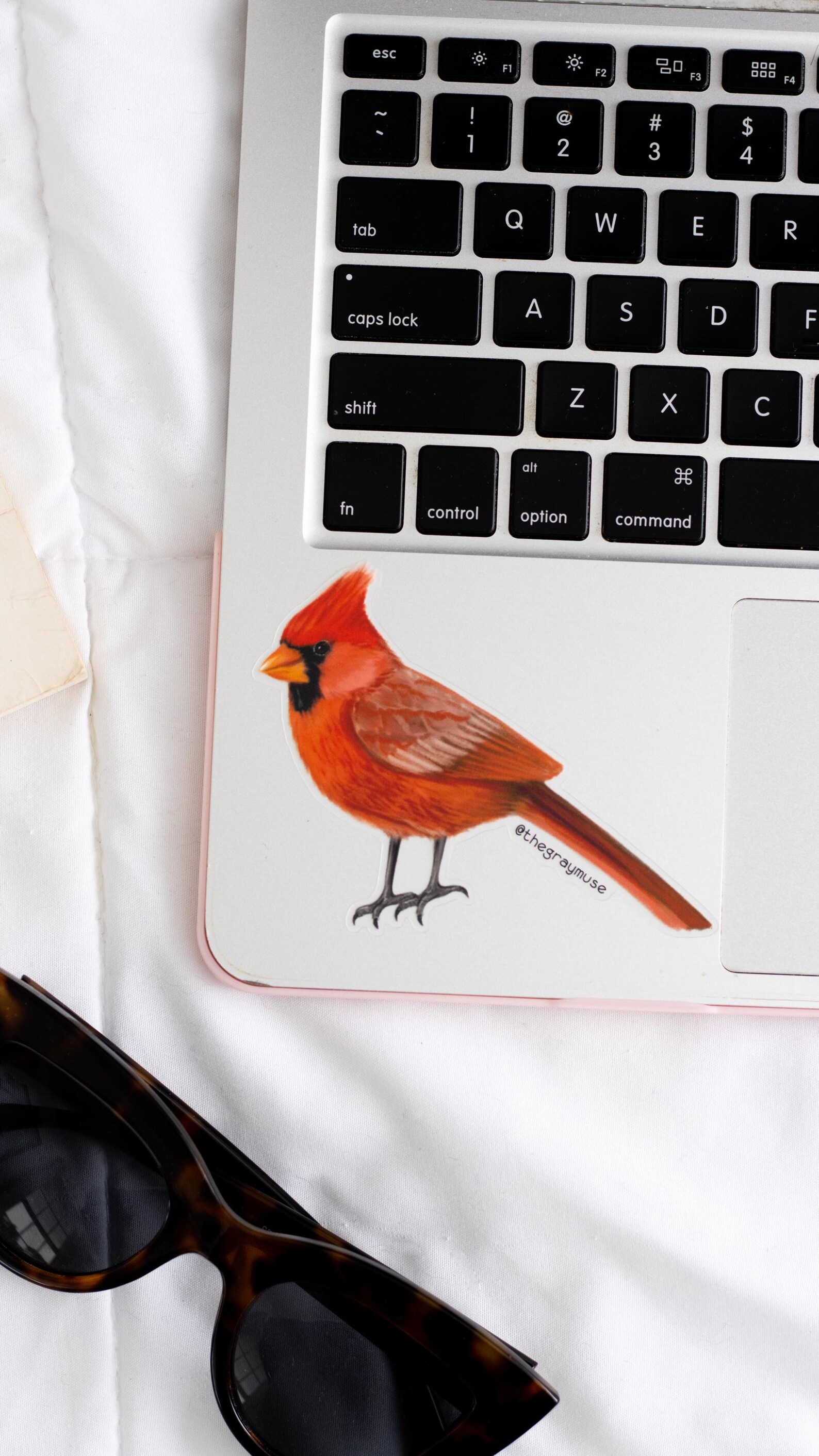 Red Cardinal Bird Matte Sticker, Nature Gift - Etsy