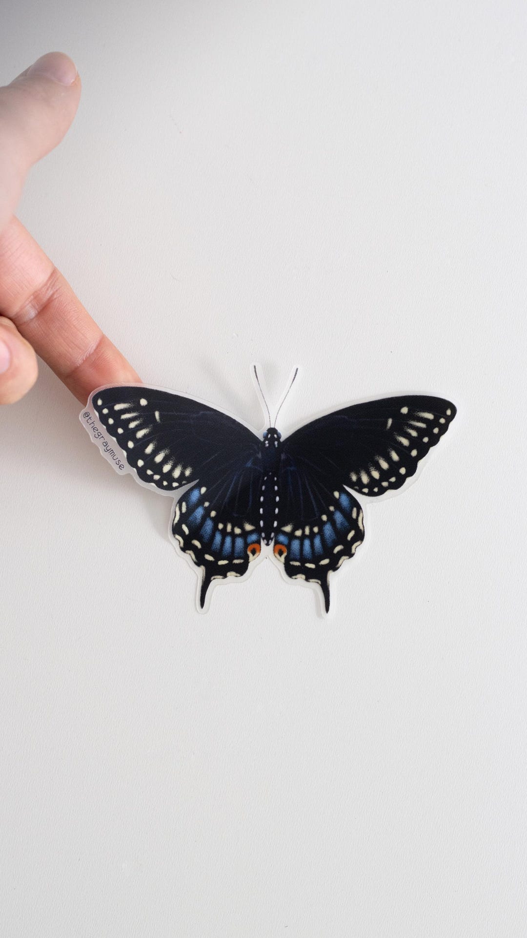 Black Swallowtail Butterfly Matte Sticker, Nature Decal - Etsy